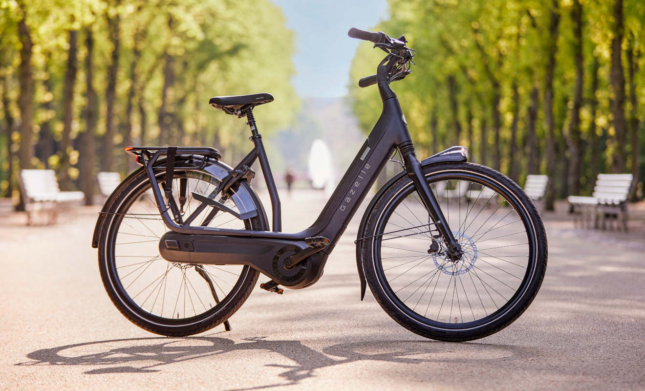 Gazelle Avignon C8 HMB: Chic und komfortabel - Electrified